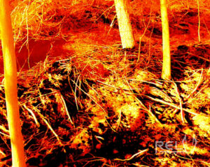 RELV ECLIPSE SNIPER TEAM – EVERGLADE / CANEBRAKE – RELV