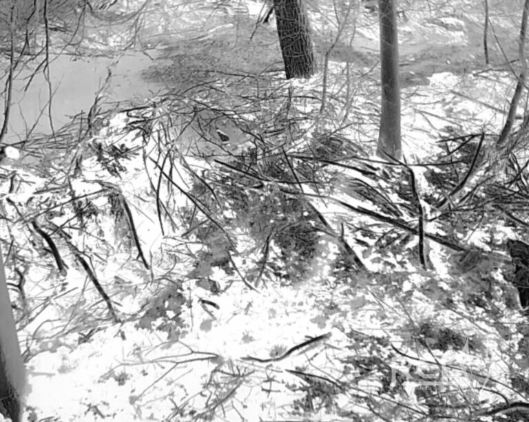 RELV ECLIPSE SNIPER TEAM – EVERGLADE / CANEBRAKE – RELV