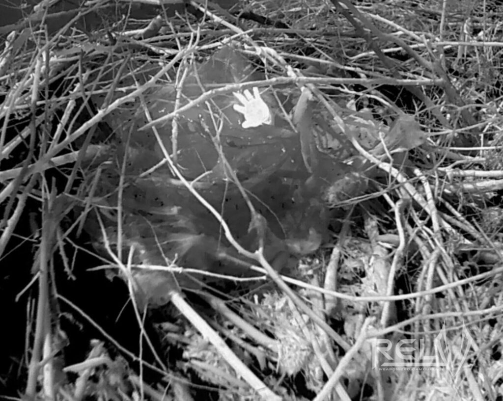 RELV ECLIPSE GEN 2 – CANEBRAKE / TIMBER WOLF – RELV